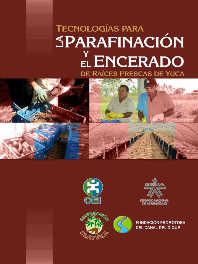 Tecnologías para La Parafinación y El Encerado de Raíces Frescas de Yuca | PDF | Plaga ...