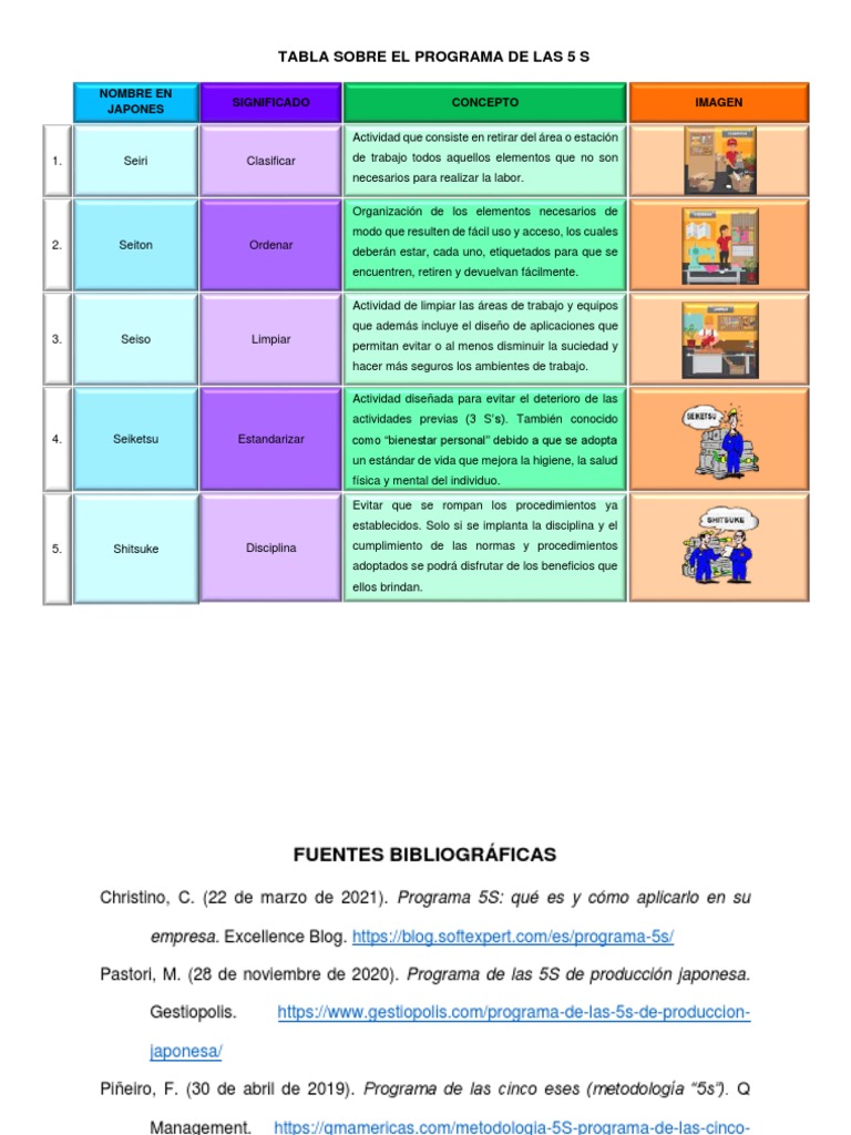 Tabla Sobre El Programa de Las 5 S | PDF