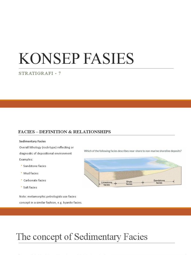 Konsep Fasies | PDF | Sedimentary Rock | Earth Sciences