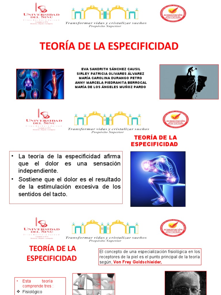 Teoría de La Especificidad | PDF | Dolor | Cerebro