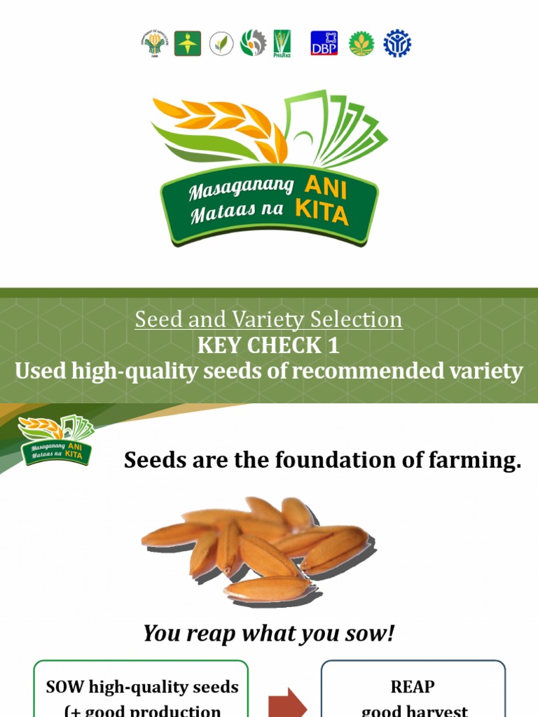 Seed and Variety Selection: Key Check 1 Used High-Quality Seeds of ...