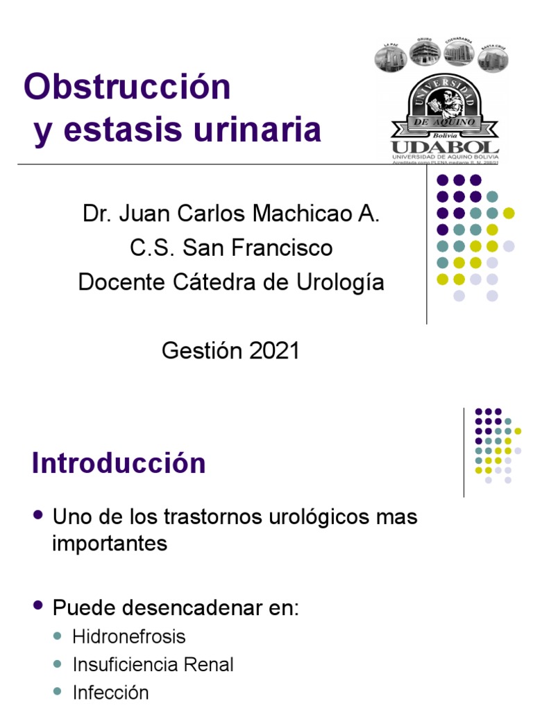 Obstrucción y Estasis Urinaria | PDF | Vejiga urinaria | Urología
