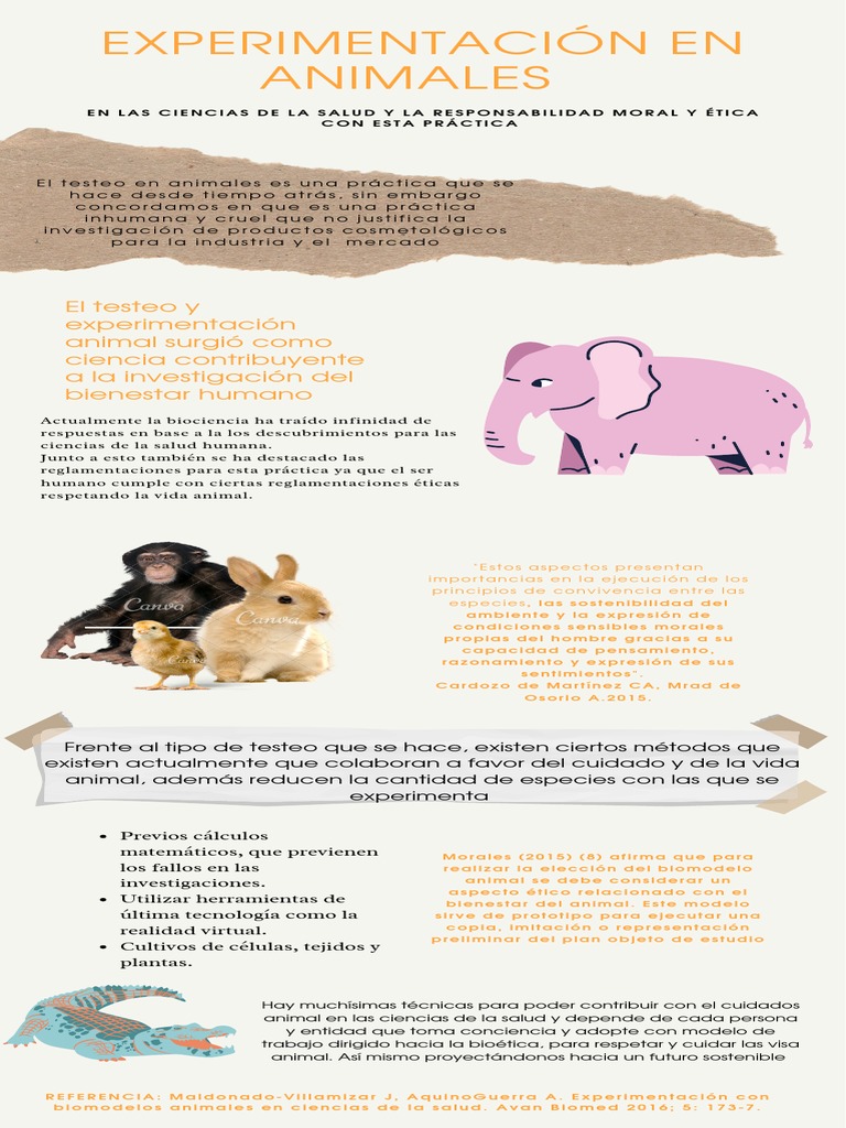 Testeo en Animales en Las | PDF | Sustentabilidad | Moralidad