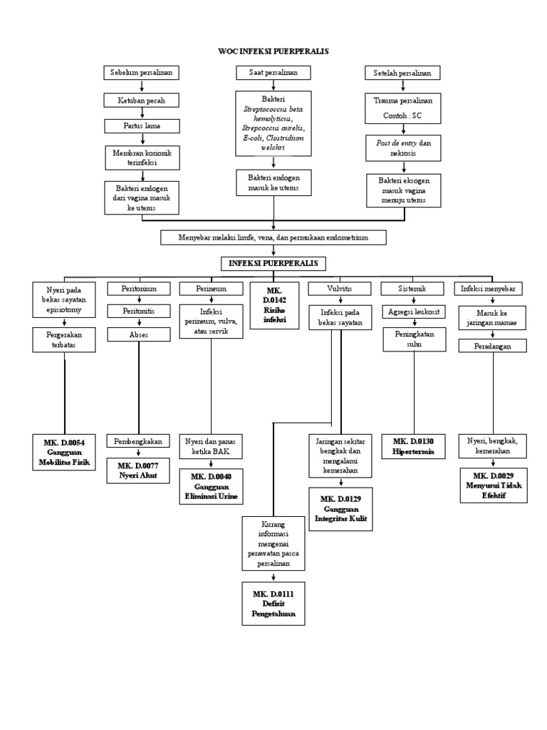 Woc Infeksi Puerperalis-1 | PDF