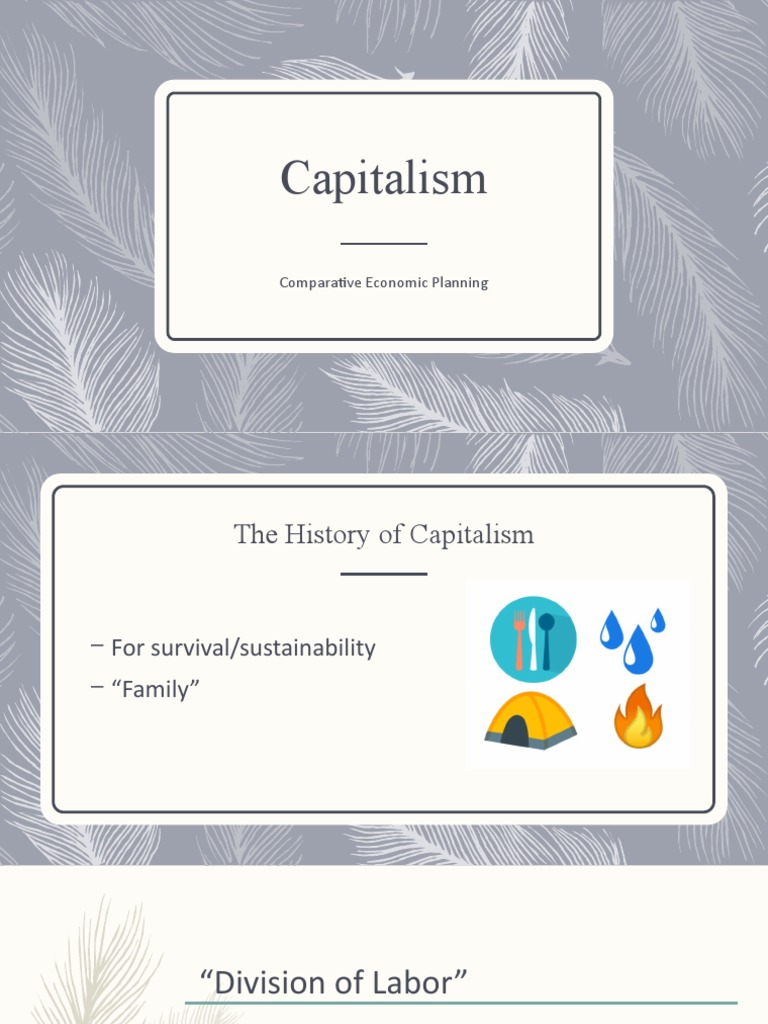 Capitalism: Comparative Economic Planning | PDF