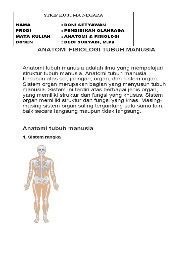 Anatomi Fisiologi Tubuh Manusia | PDF