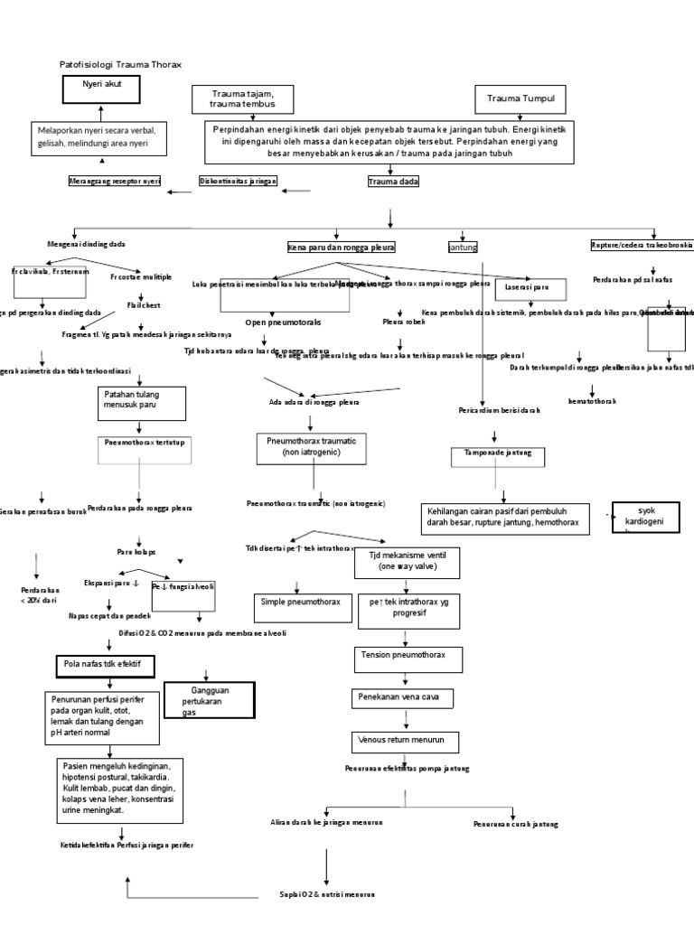 Pathway Trauma Dada | PDF