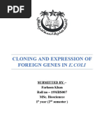 Gene Cloning DU Notes | PDF