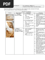 Multimix Principle Foods Unit 1 | PDF | Staple Foods | Foods
