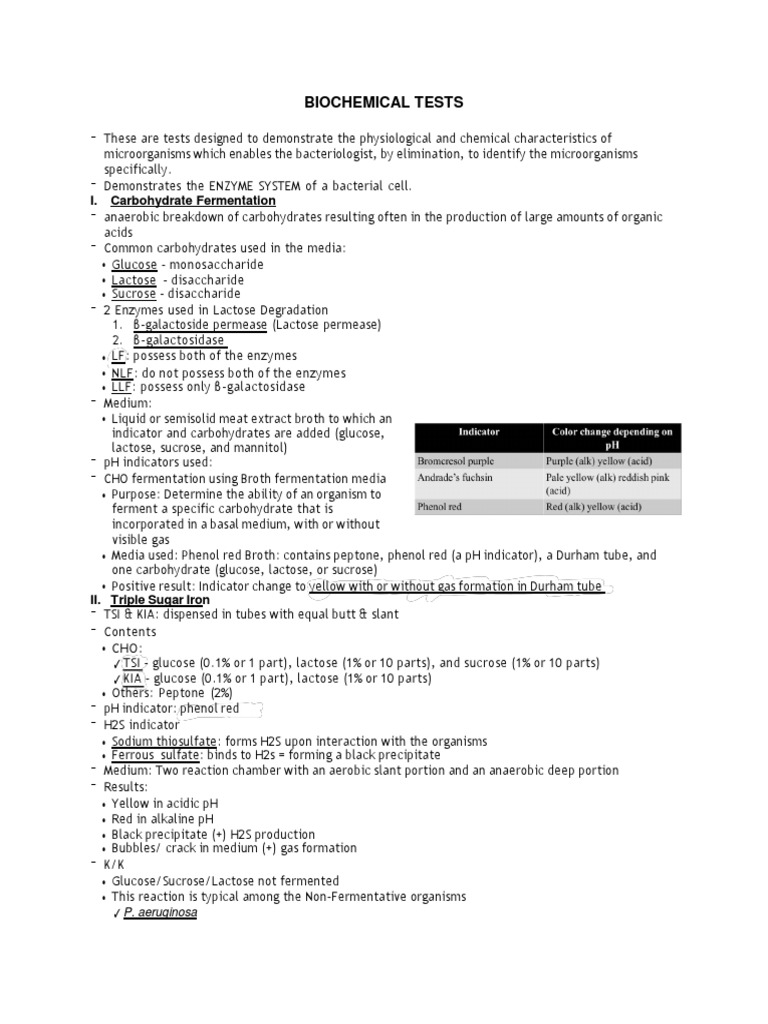 Biochemical Tests: I. Carbohydrate Fermentation | Download Free PDF ...