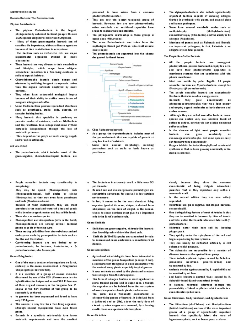 Domain Bacteria: The Proteobacteria | PDF | Bacteria | Pseudomonas