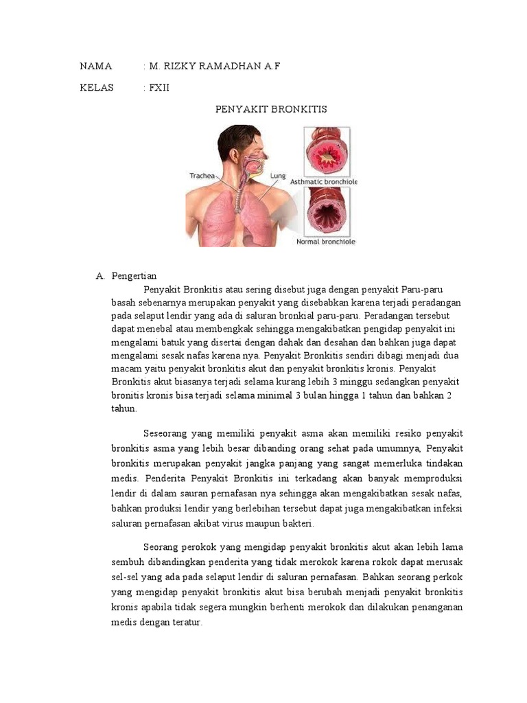 Panduan Bronkitis untuk Pelajar | PDF