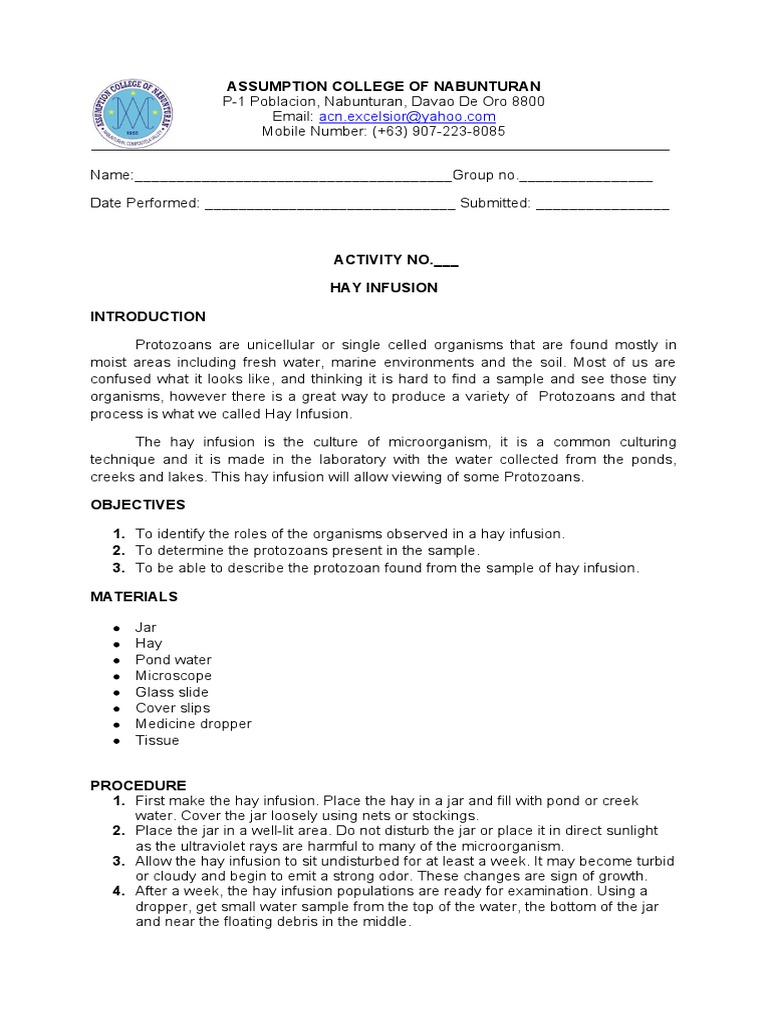 Hay Infusion | PDF | Microorganism | Protozoa