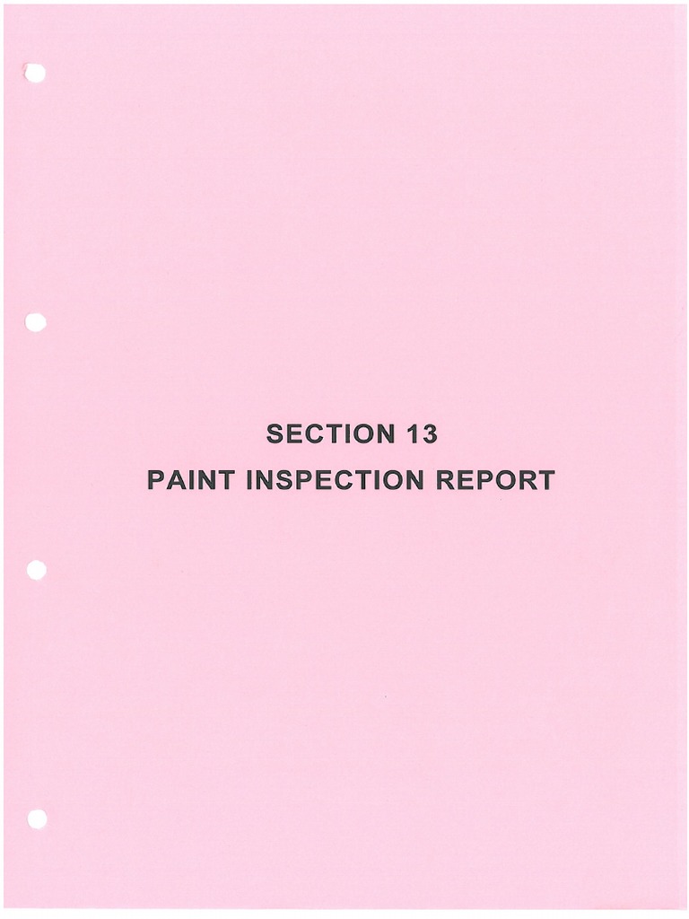 Paint Inspection Report | PDF