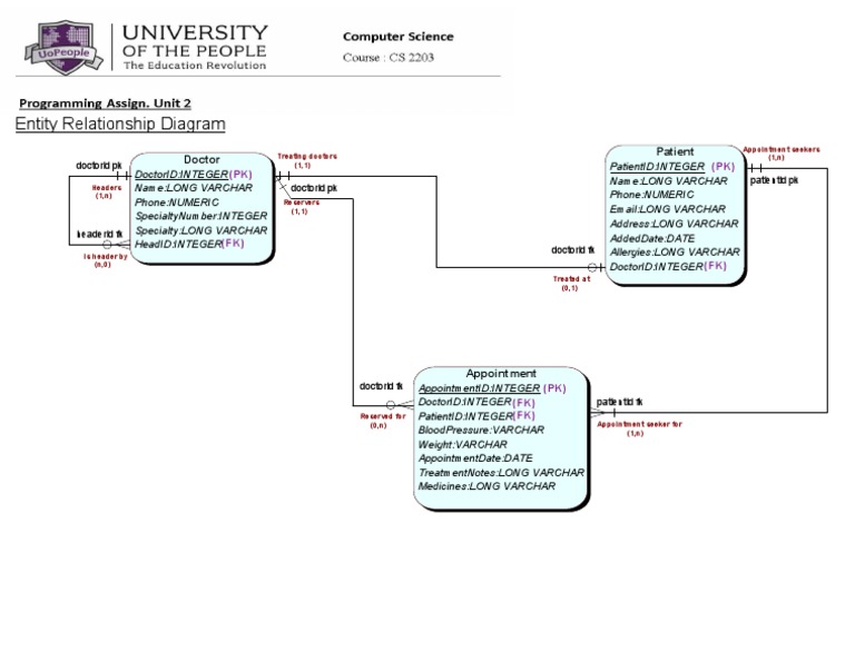 Entity Relationship Diagram: Doctor Patient | PDF | Health Care | Medicine
