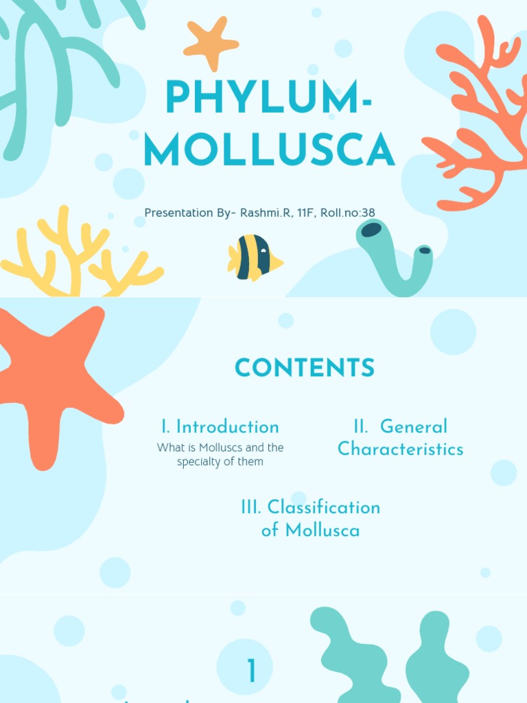 Biology Research Project On Phylum Mollusca | PDF | Mollusca | Zoology