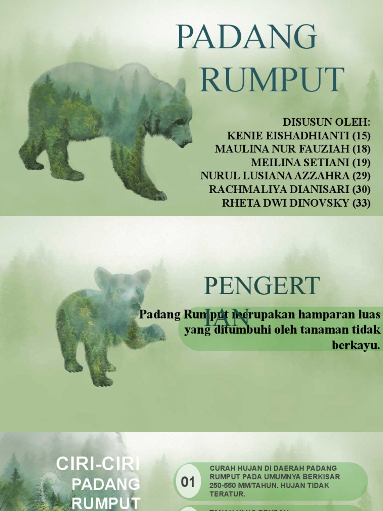 Padang Rumput Geo | PDF | Infographics | Microsoft Power Point