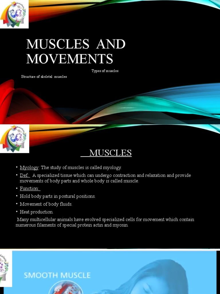 Muscles and Movements: Types of Muscles Structure of Skeletal Muscles ...