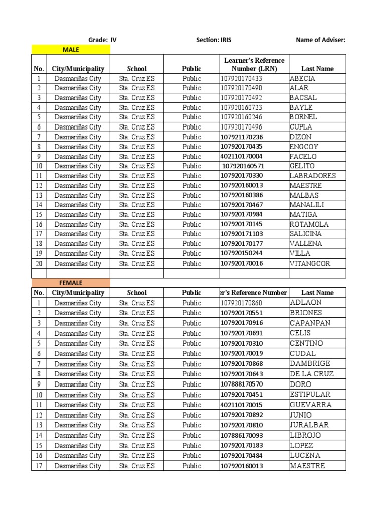 G4 IRIS List of Enrollees Template SY 2021 2022 Elementary | PDF