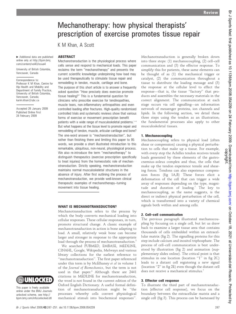 Mechanotherapy How Physical Therapists | PDF | Tendon | Signal Transduction