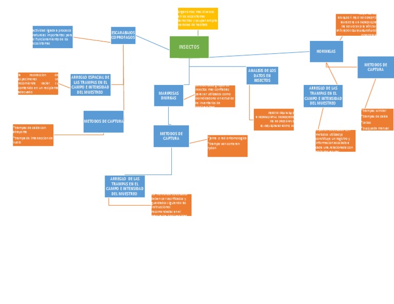 1 Mapa Conceptual Aves, Brayan Sanchez | PDF | Insectos