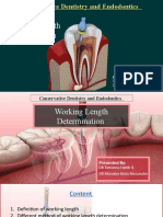 END Brochure ProTaper Gold Web | PDF | Dentistry