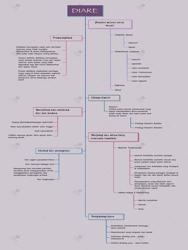 Mind Map 3 | PDF