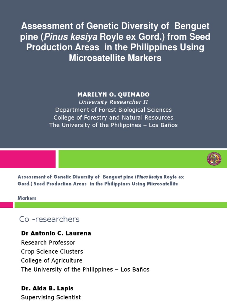 Assessment of Genetic Diversity of Benguet Pine (Pinus Kesiya Royle Ex ...