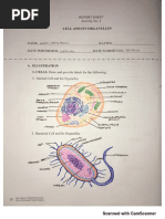Macronutrients: Carbohydrates (CHO) Proteins (CHON) Fats | PDF | Diet ...