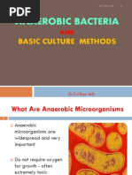 Biochemical Test and Identification of Pseudomonas Aeruginosa | PDF ...