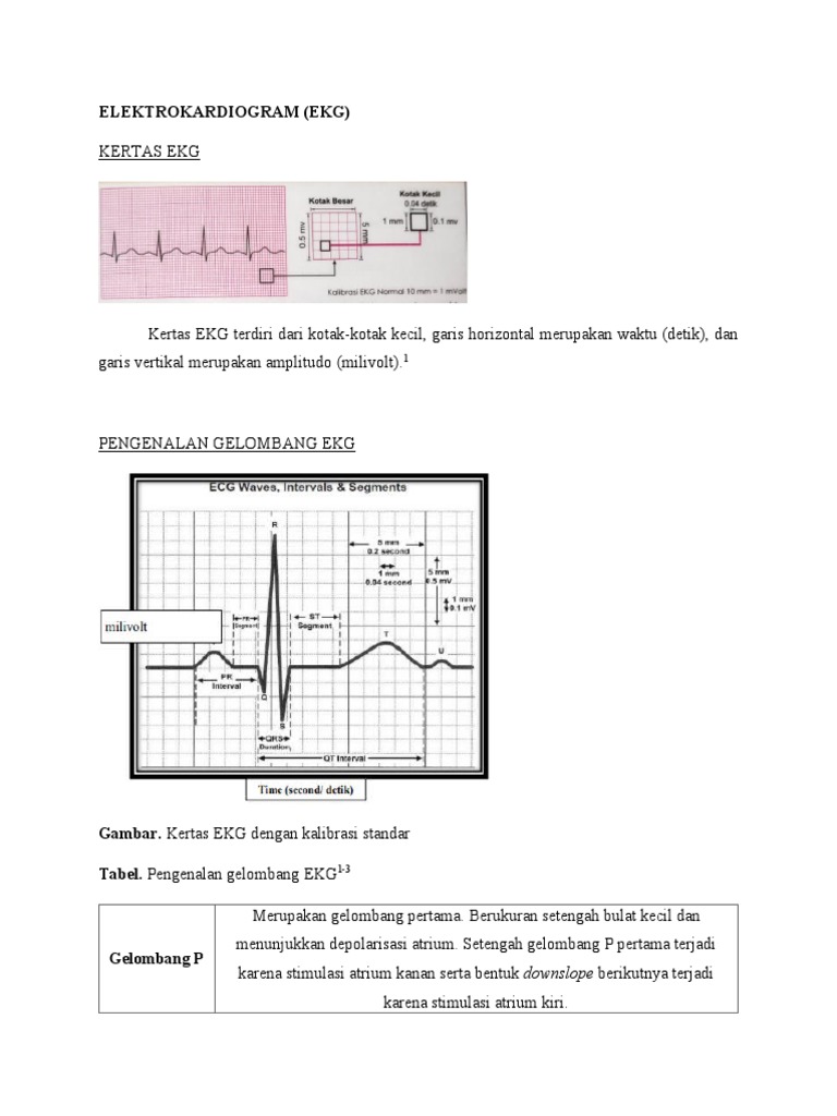 Panduan Membaca EKG | PDF