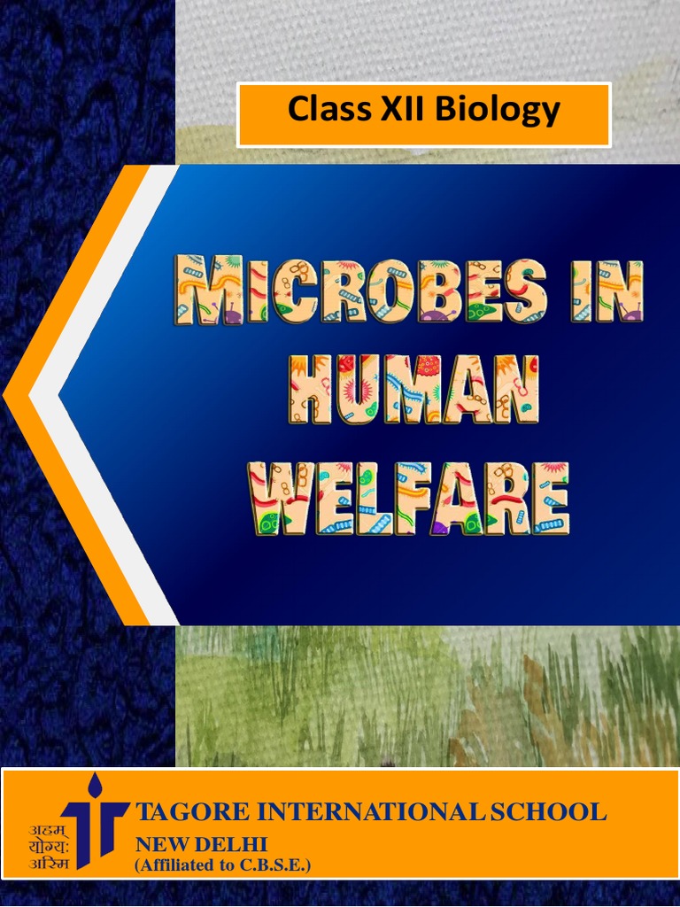 Chapter 10 Microbes in Human Welfare | PDF | Microorganism