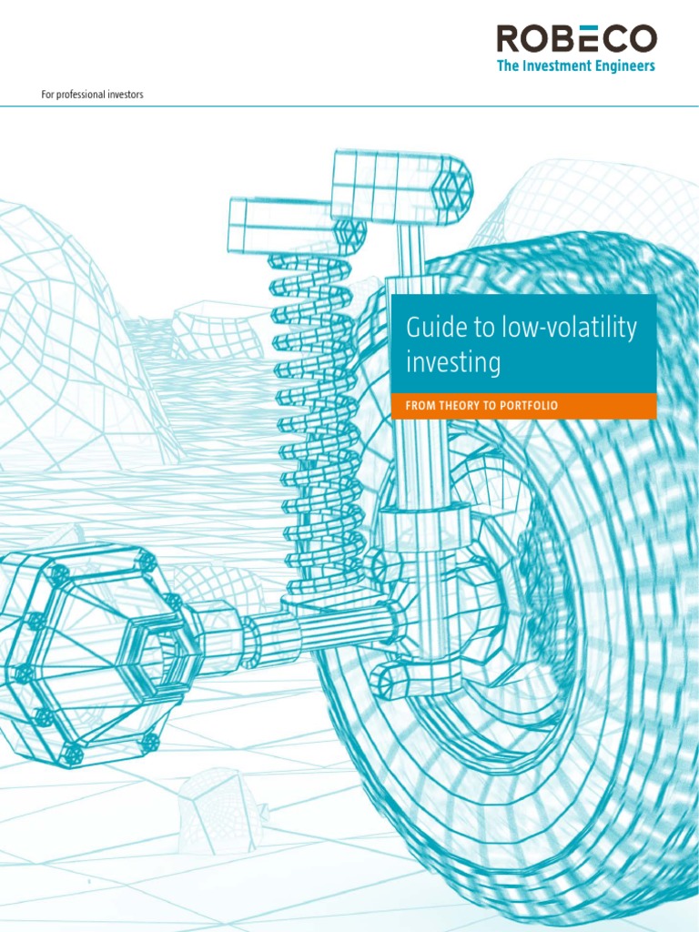 Guide To Low-Volatility Investing: For Professional Investors | PDF ...