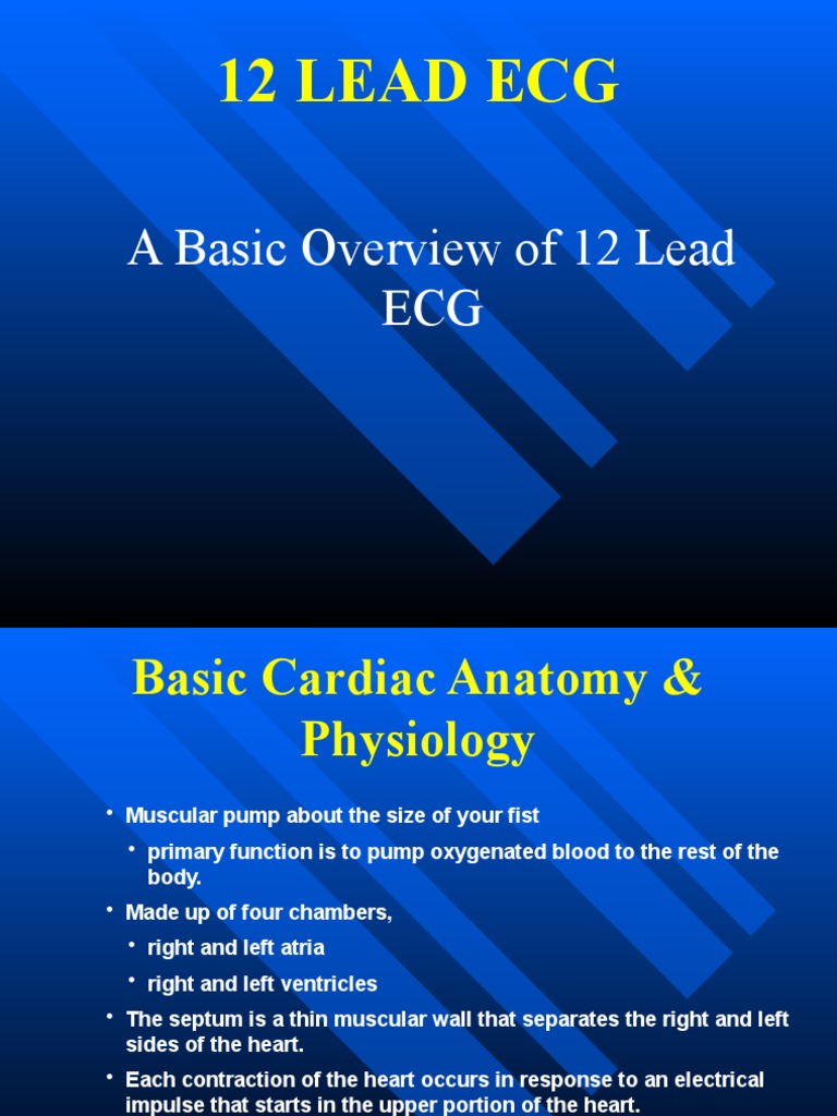 12 Lead Ecg or Ekg | PDF | Coronary Circulation | Electrocardiography