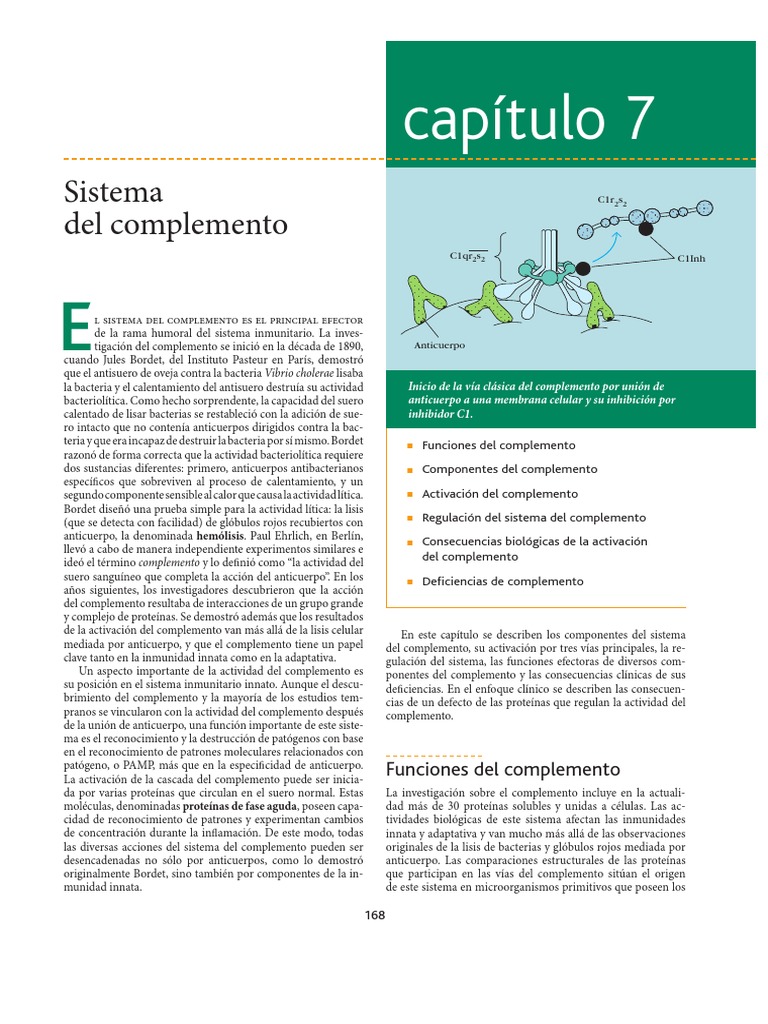 7.-Sistema Del Complemento | PDF | Sistema complementario | Biología