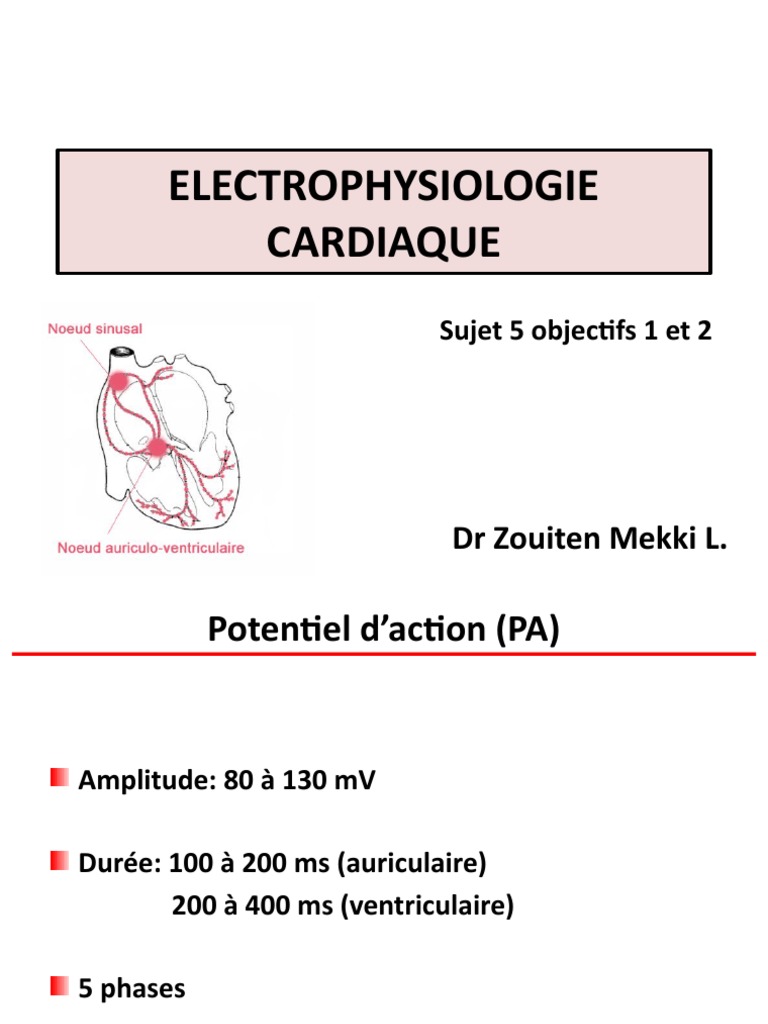 Pr - رsentation residanat | PDF | Cœur | Rein