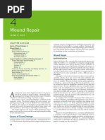 DURAGEN Plus Dural Regeneration Matrix | PDF | Extracellular Matrix ...