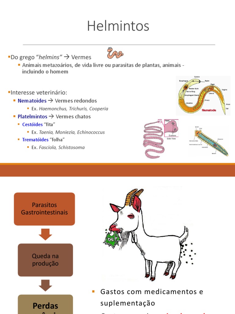 Taxonomia de Helmintos | PDF | Nematoda | Anatomia