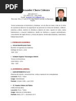 Ejemplo de CV Documentado | PDF | Ciencias de la Computación | Computadoras personales