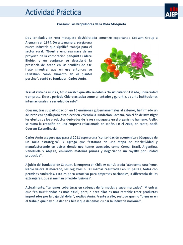 Actividad Sumativa Semana 1 Com - Organizacional | PDF