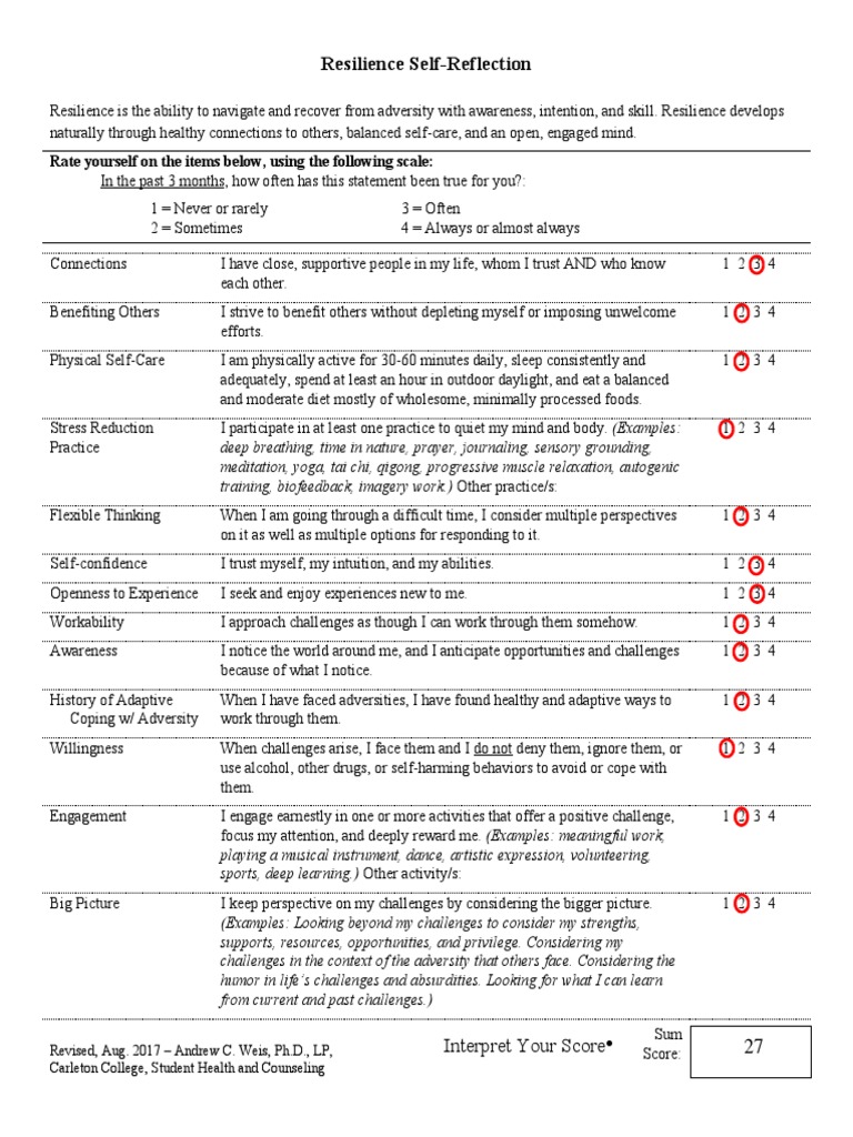 Resilience Self-Reflection: Rate Yourself On The Items Below, Using The ...