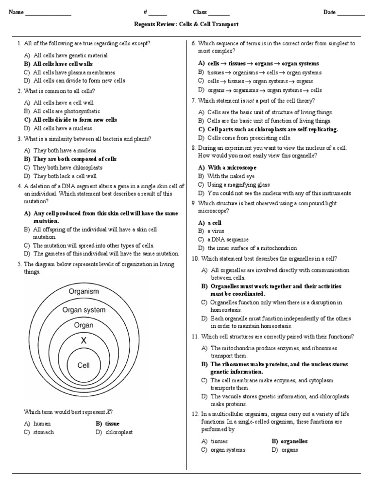 Cells Cell Transport - Teachers | PDF | Cell (Biology) | Organelle