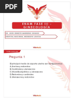 Tratamiento y grados de EPI | PDF