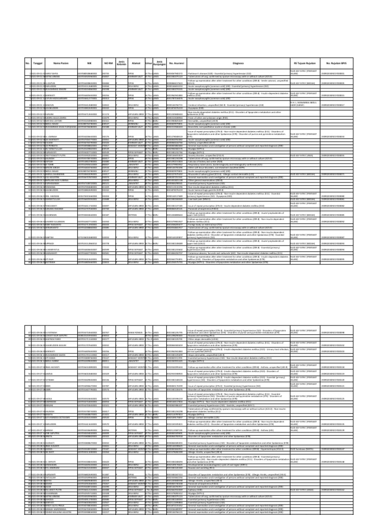 Register Kunjungan Pasien BPJS | PDF | Diseases And Disorders | Medical ...