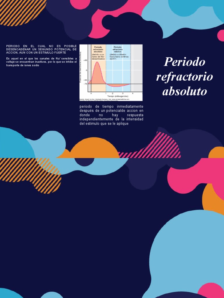 Periodo Refractario: Absoluto y Relativo | PDF