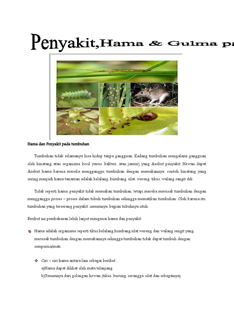Hama dan Penyakit Tumbuhan | PDF