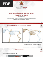 Signo Radiológico: Perrito Escocés | PDF | Vértebra | Radiología