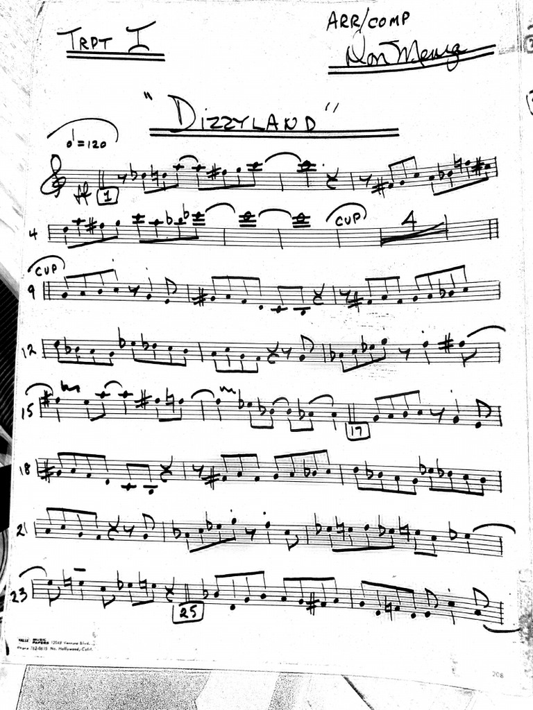 Dizzyland Unison | PDF