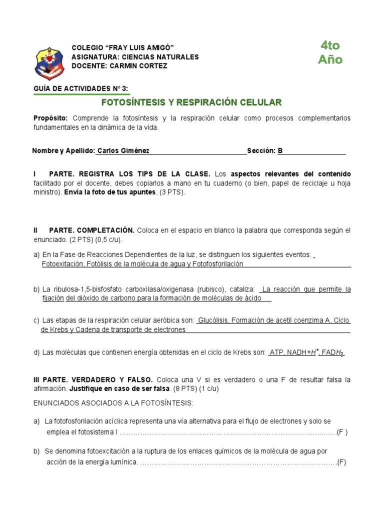 Fotosíntesis y Respiración Celular | PDF | Respiración celular ...