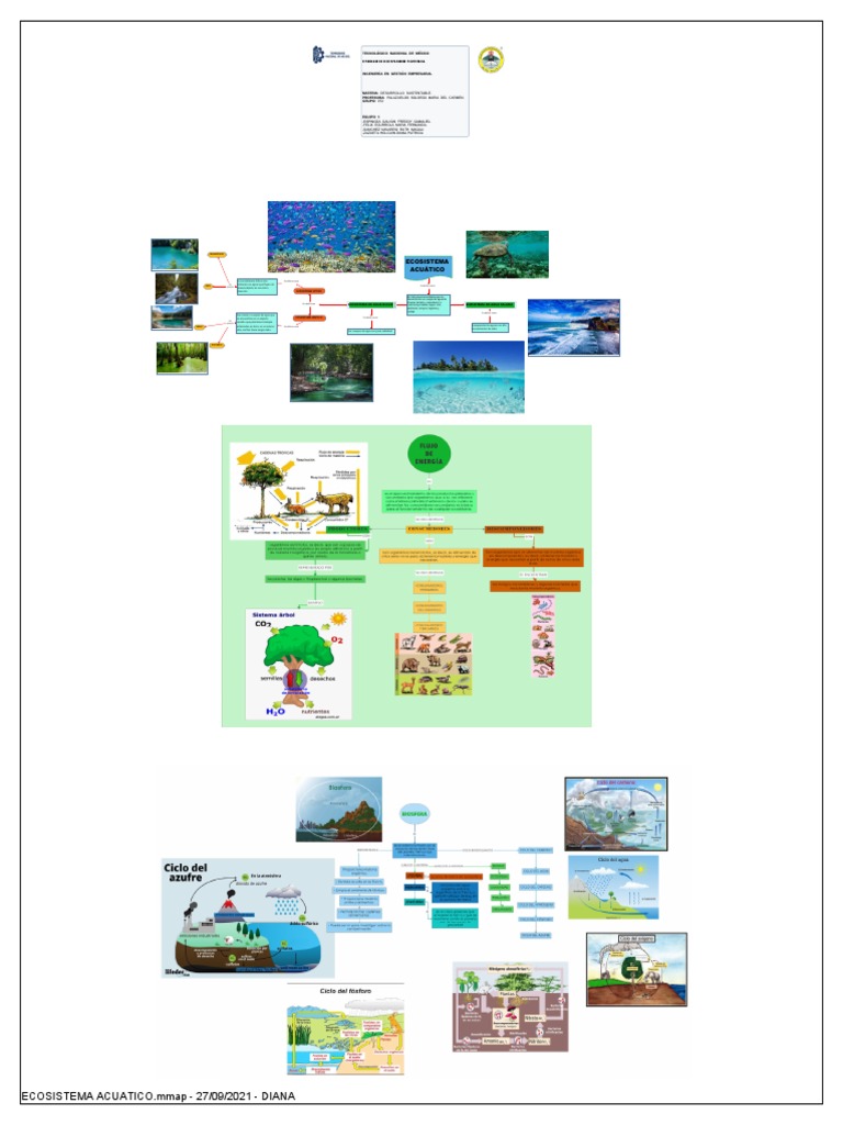 Hoja De Trabajo Del Diagrama Del Ecosistema Plantilla De Hoja De